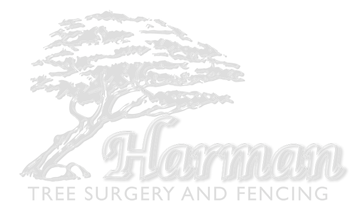 Public Liability Insurance - Harman Tree Surgery